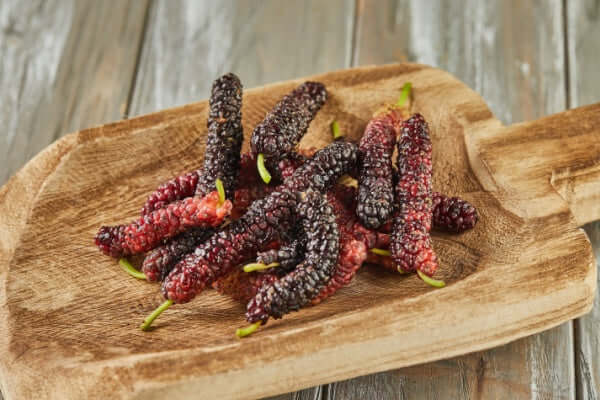 Pakistan Mulberry Tree- Grow large, juicy mulberries at home