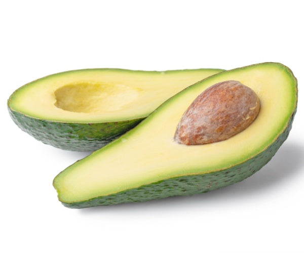 Pinkerton Avocado Tree