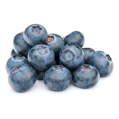 Sharpblue Blueberry Bush