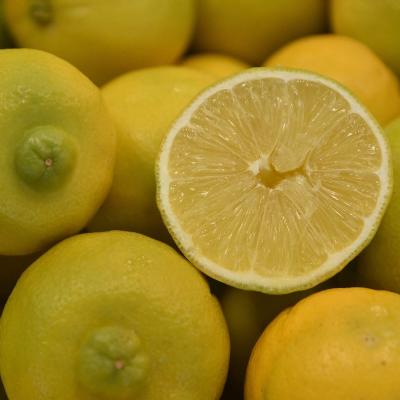 Millsweet Acidless Semi-Dwarf Limetta Tree