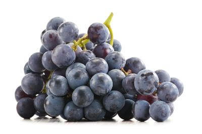 Concord Grape Pruning Method