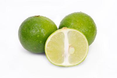 Mexican Lime Trees