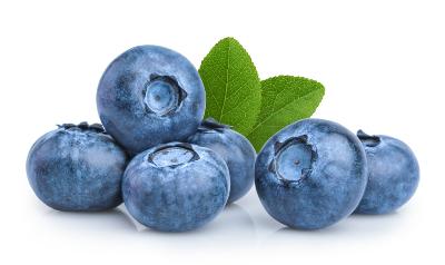 Star Blueberry Bush- Produces Sweet, Large Blueberries