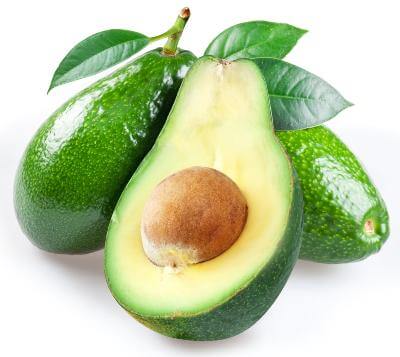 Avocado Varieties
